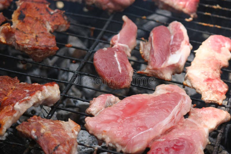 Barbecuing Meat on Charcoal Fire. Stock Image - Image of picnic ...