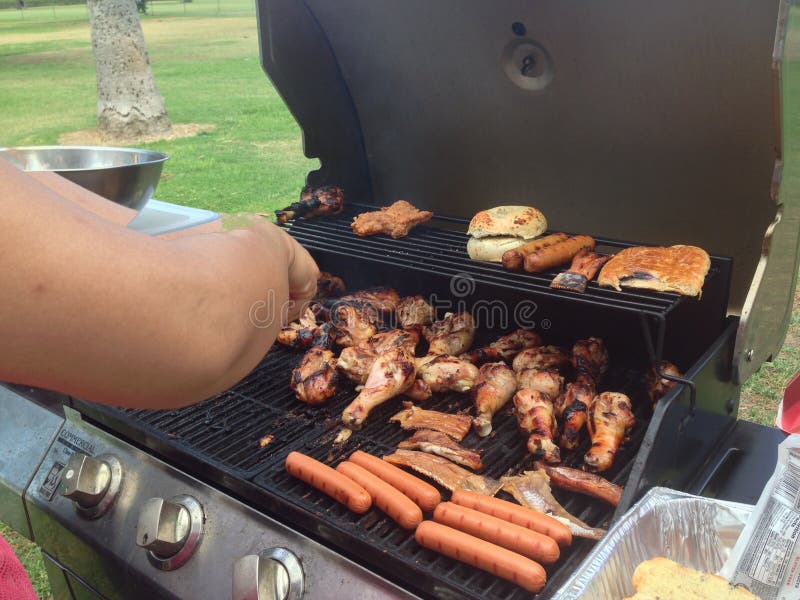 Barbecuing at the Recreation Park Stock Photo - Image of cookout ...