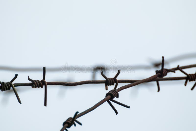 Barbed Sharp Wire Close-up on a Gray Background Stock Photo - Image of ...