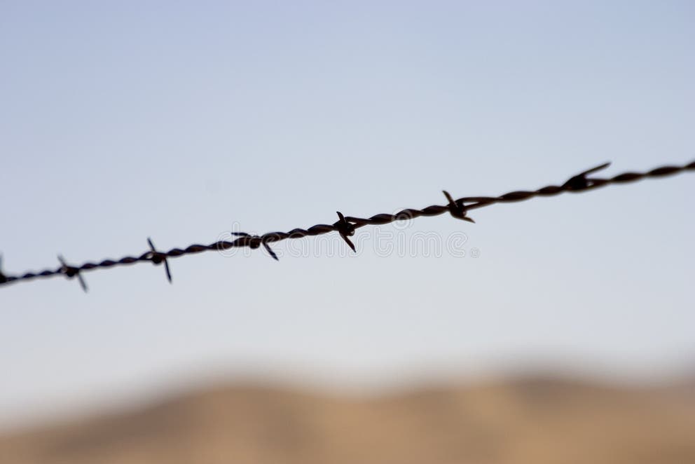 Barbed Wire 1 stock image. Image of fence, coil, piercing - 733055