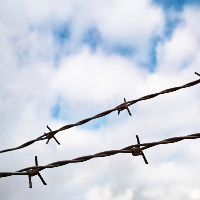 Hand on barbed wire stock photo. Image of outside, hand - 13536058