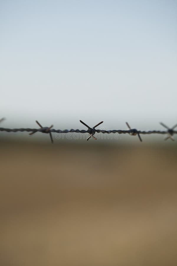 Barbed wire stock image. Image of forbidden, horizontal - 10553335