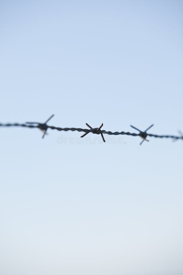 Barbed wire stock photo. Image of access, cage, fence - 10553340