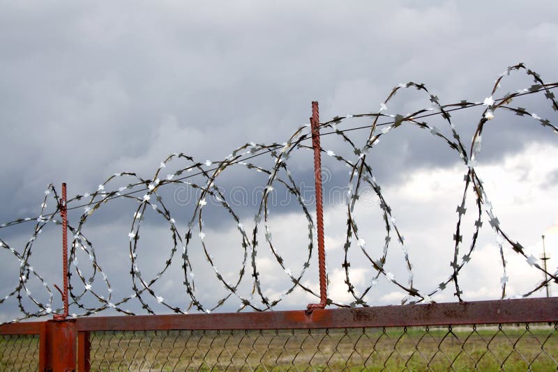 Cutting barbed wire stock photo. Image of hand, closeup - 13699274