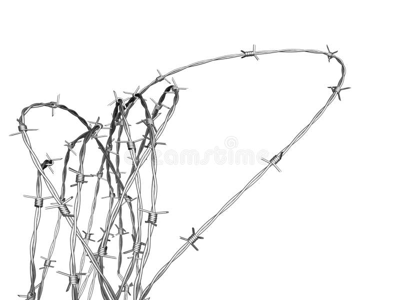 Barbed Wire Curled in Spiral Stock Illustration - Illustration of ...