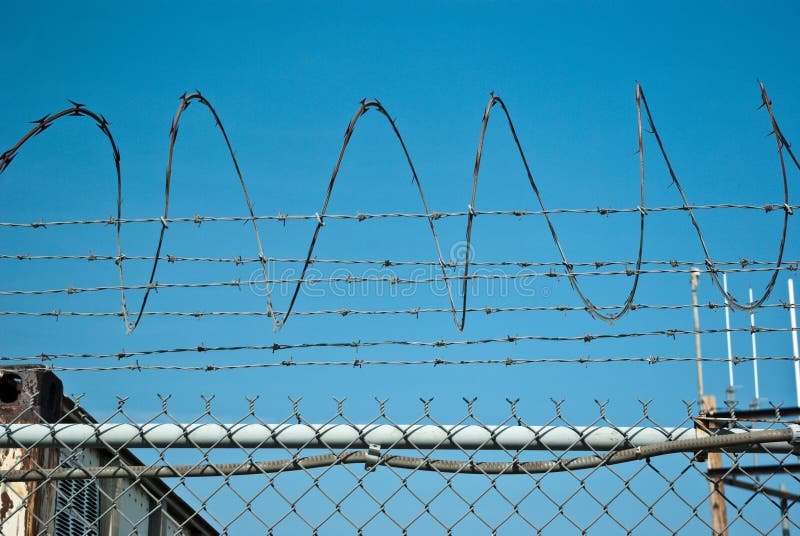 Wire Curled Ball Tilted Right Stock Image - Image of right, ball: 32934509