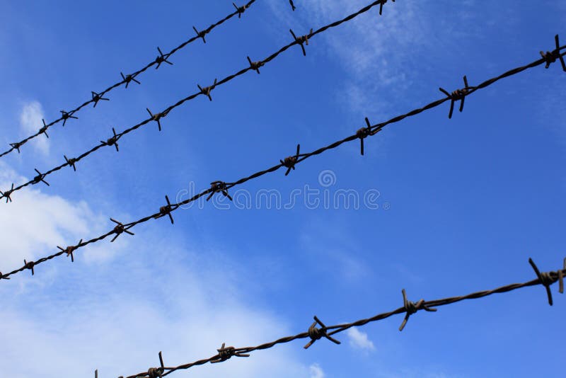 Barbed Wire stock photo. Image of rusty, prevent, security - 5267188