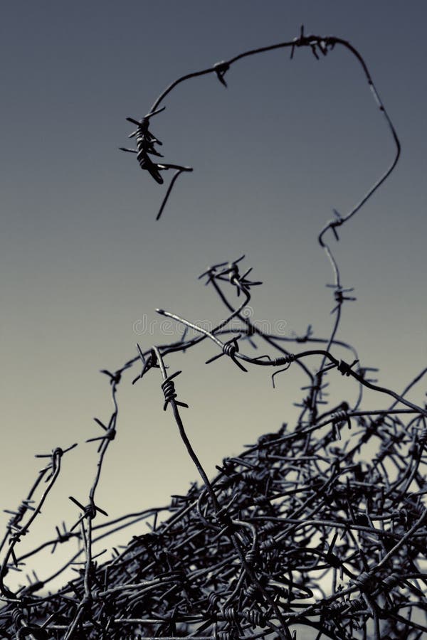 6+ Blood barbed wire Free Stock Photos - StockFreeImages