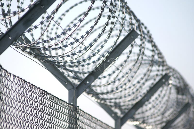 Barbed-wire 2 stock photo. Image of barbed, military, freedom - 4211014