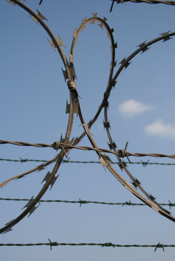 Barbed wire 2 stock image. Image of flare, razor, safe - 742839
