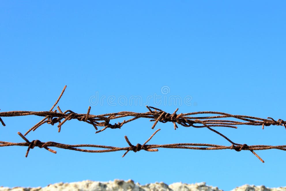 Barbed wire stock photo. Image of human, hero, invader - 23207806