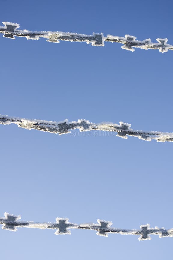 Barbed wire stock photo. Image of barbed, bars, locked - 23240012