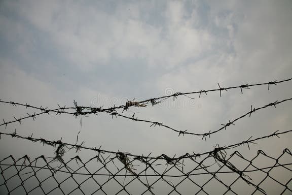 766 Broken Barbed Wire Fence Stock Photos - Free & Royalty-Free Stock ...