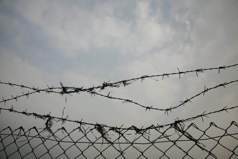 766 Broken Barbed Wire Fence Stock Photos - Free & Royalty-Free Stock ...