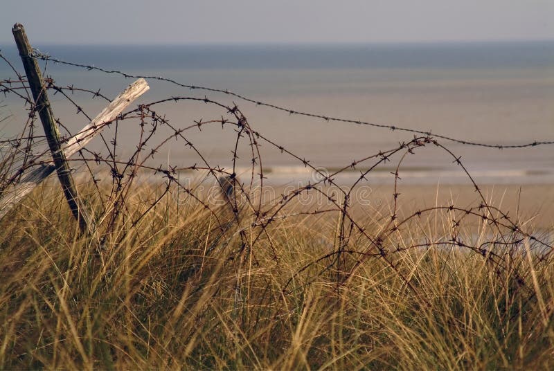 Barbed Wire from 2nd. World War D Day Stock Photo - Image of historic ...