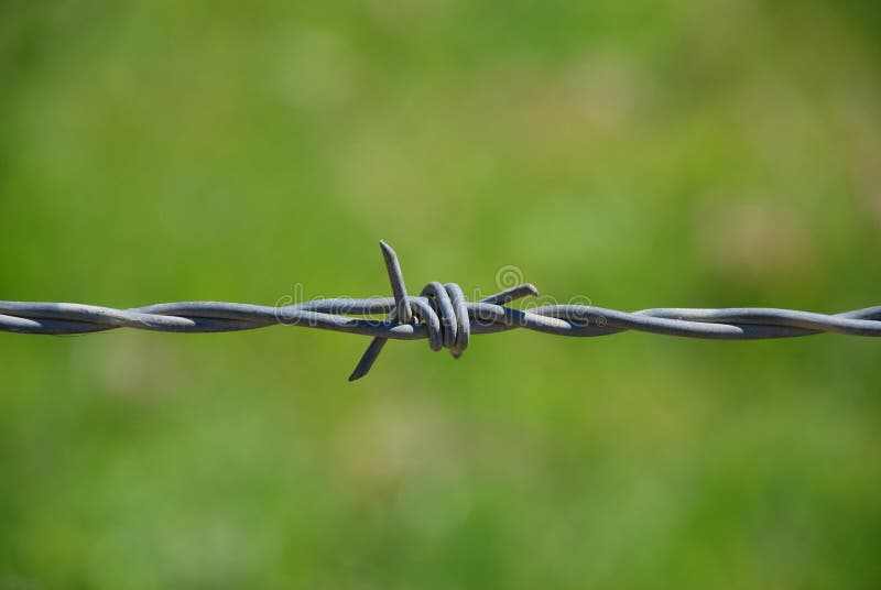 Barbed Wire stock photo. Image of macro, metal, wire - 55145994