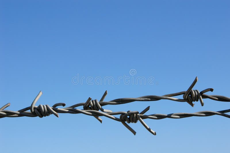Barbed Wire stock image. Image of convoy, freedom, barbed - 461049