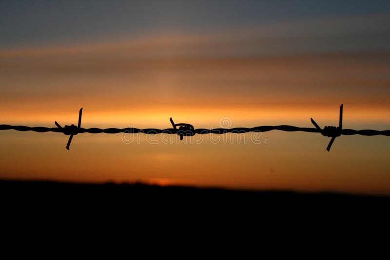 Barbed wire stock photo. Image of cloud, skies, clouds - 5192038