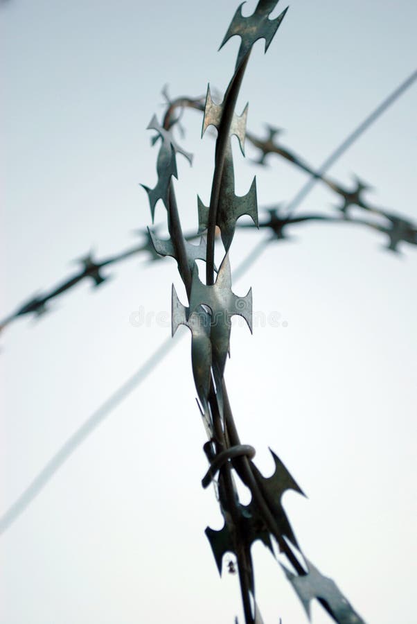 Barbed Wire Fence Free Stock Photos & Pictures, Barbed Wire Fence ...