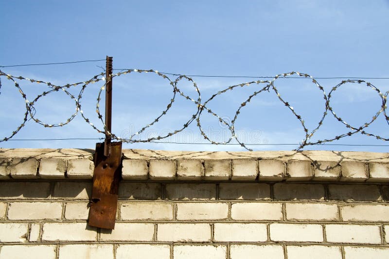 Barbed wire stock photo. Image of protection, cage, forbidden - 6117452