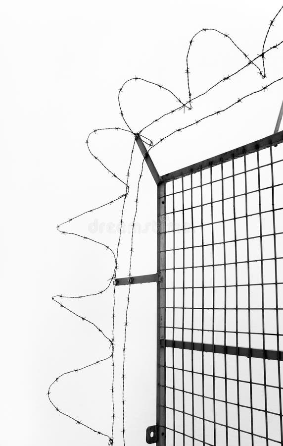 Barbed wire stock image. Image of prison, sharp, white - 9433221