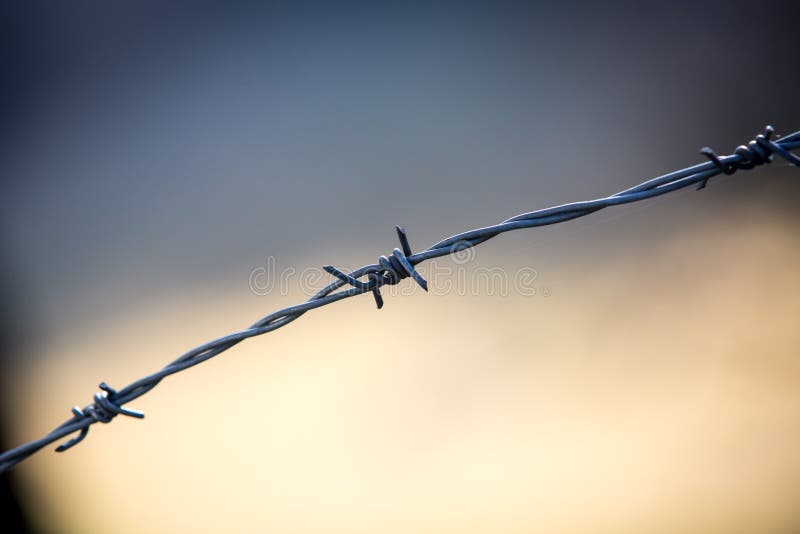Barbed wire closeup stock image. Image of boundary, iron - 107893863