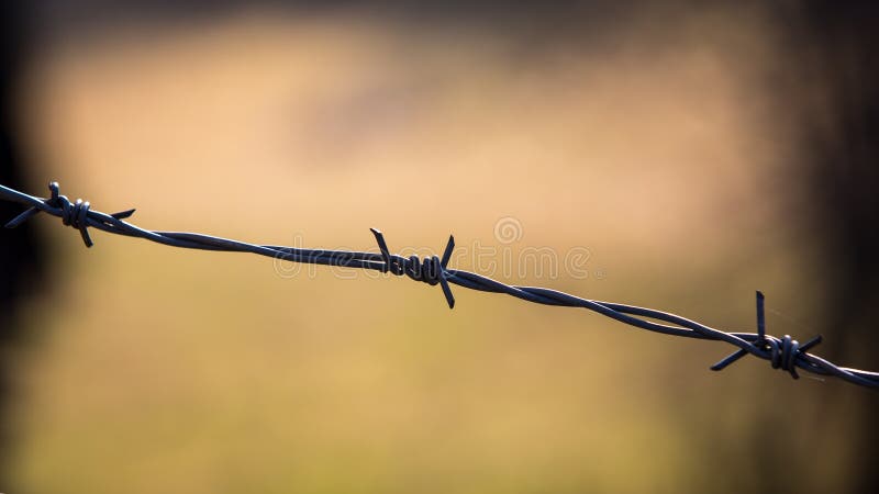 Abstract barbed wire stock image. Image of barb, security - 107893627