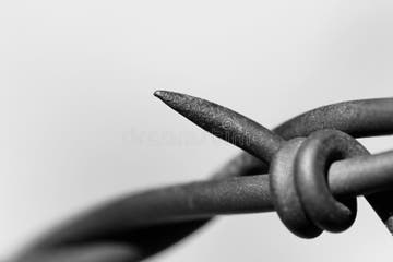 Barbed wire abstract macro stock image. Image of danger - 261025