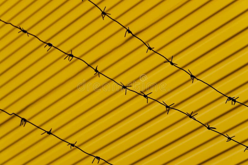 Barbed Wire Against the Background of the Yellow Wall. the Sun Peeps ...