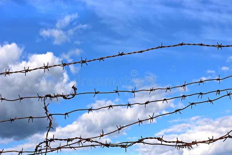 Barbed Wire Against Blue Sky Stock Photo - Image of mesh, guard: 114075238