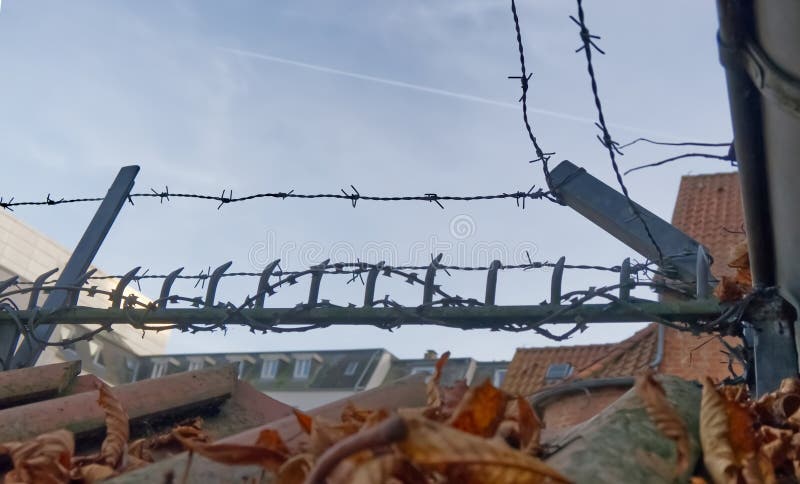 Barbed Wire Against a Clear Sky Stock Image - Image of person ...