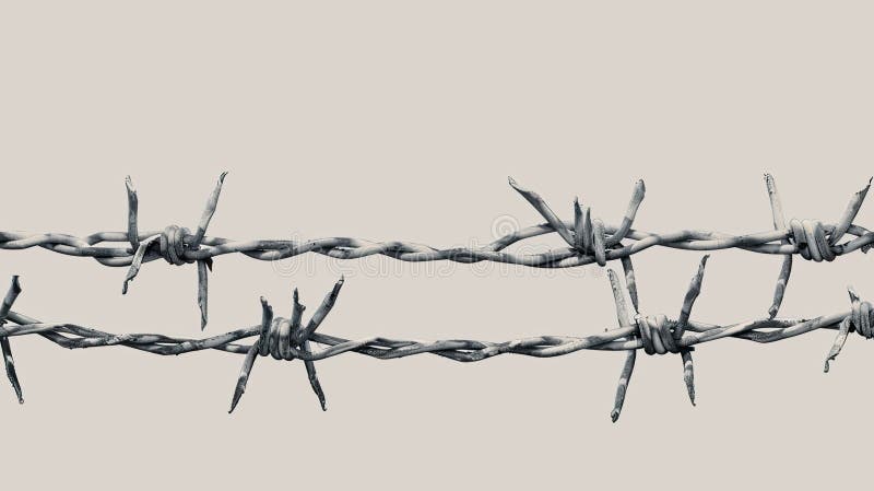 Barbed Wire Against a Neutral Gray Background, Evoking Feelings of ...