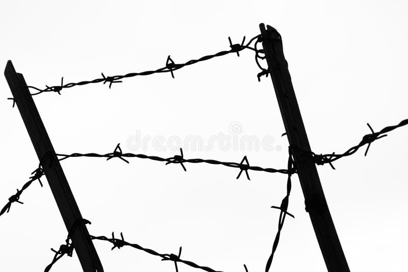 Barbed wire in black stock image. Image of border, design - 147814559