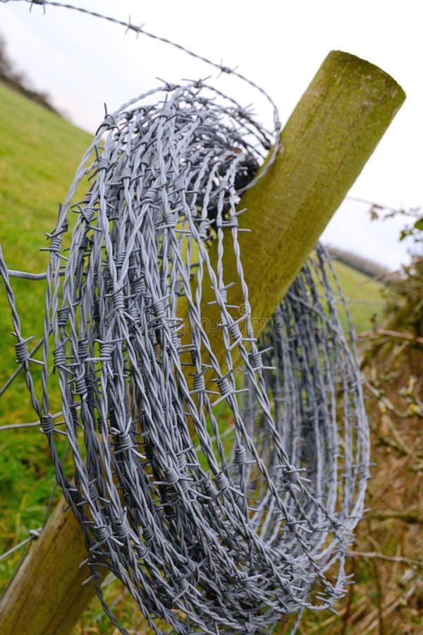 Barbed wire around post. stock image. Image of england - 37983003