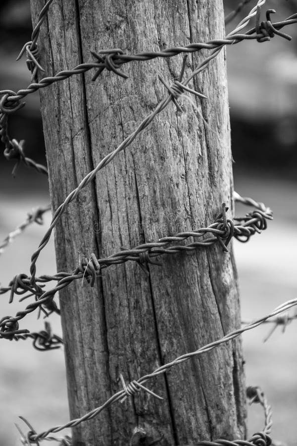 Barbed Wire Around Wooden Pole Stock Photos - Free & Royalty-Free Stock ...