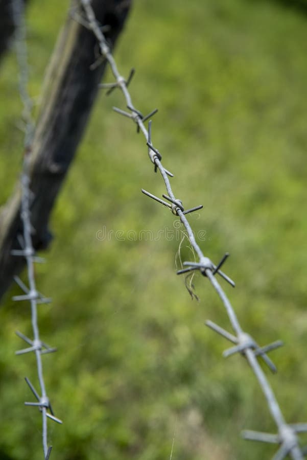 Handcuff Border Stock Photos - Free & Royalty-Free Stock Photos from ...