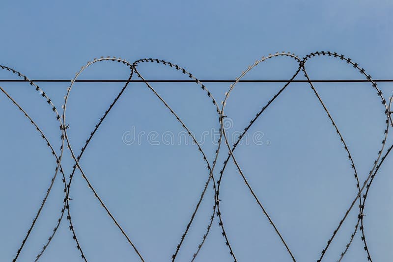 Barbed Wire on the Background of the Sky. the Concept of Detention ...
