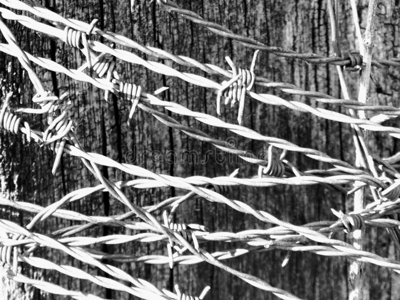 Barbed Wire, Black and White Wallpaper, Texture. Stock Image - Image of ...