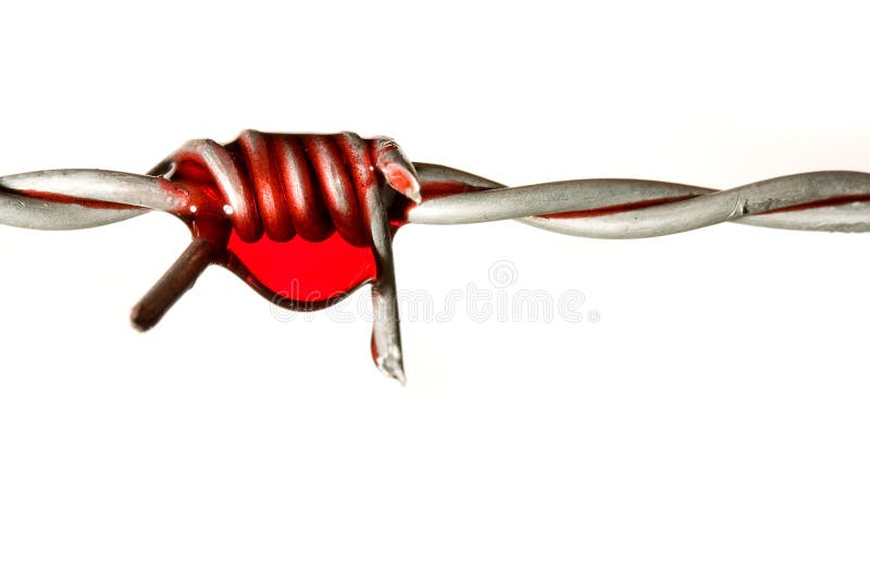 Barbed wire with blood stock image. Image of closeup, freedom - 9760313