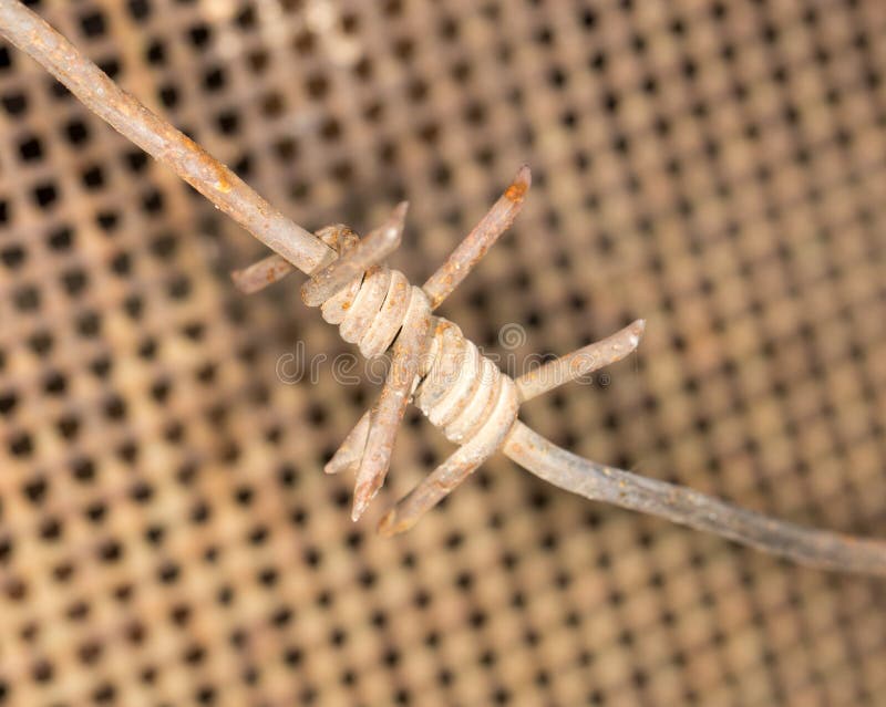 Barbed wire. close-up stock image. Image of prison, obstacle - 104248455