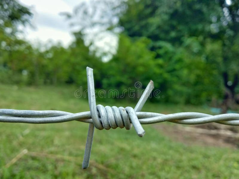 118 Invasion Border Barrier Stock Photos - Free & Royalty-Free Stock ...