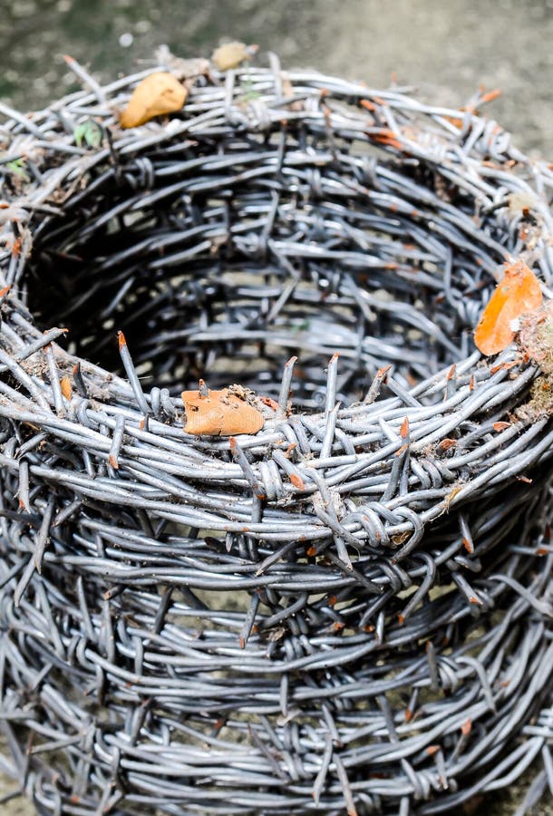 Barbed Wire Coils stock image. Image of spike, sting - 60668217