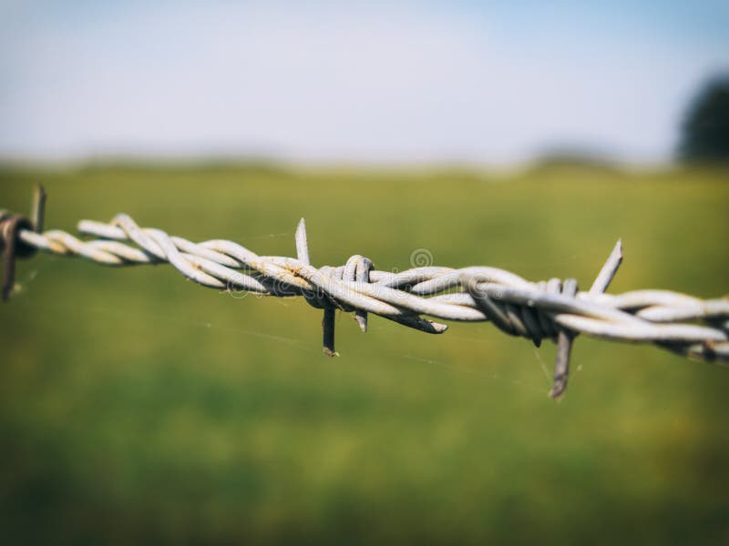 Barbed Wire (Color) stock photo. Image of detail, wire - 57786354