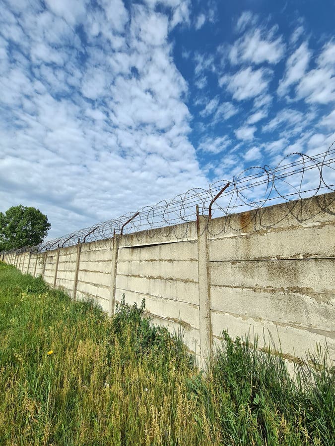 Barbed Wire on Concrete Fence Stock Image - Image of concrete, curl ...