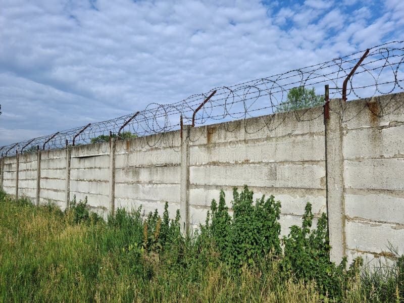 Barbed Wire on Concrete Fence Stock Photo - Image of secure, concrete ...