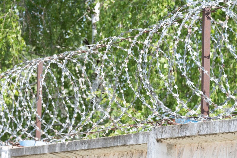 Barbed Wire on the Concrete Fence of the Prison. There are Trees Behind ...