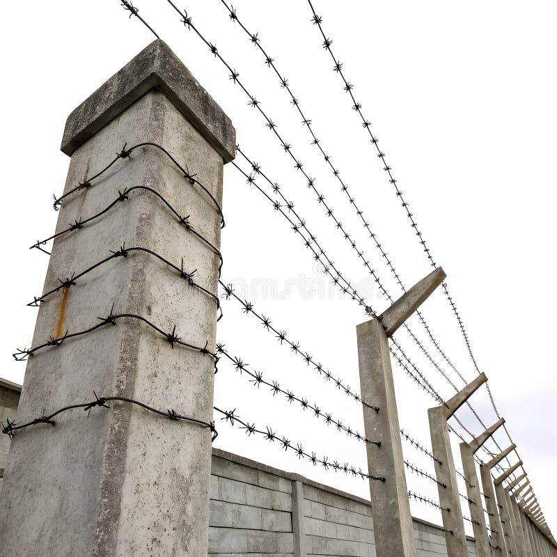 Barbed Wire with Concrete Pillars Stock Illustration - Illustration of ...