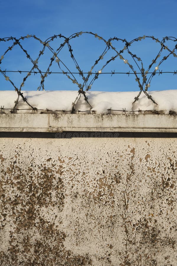 Barbed Wire on a Concrete Wall. Stock Image - Image of electricity ...