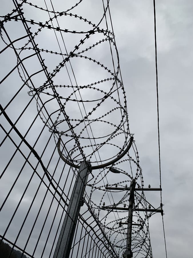 The Barbed Wire is Covered with Snow. Sharp Edges of Barbed Wire, Close ...