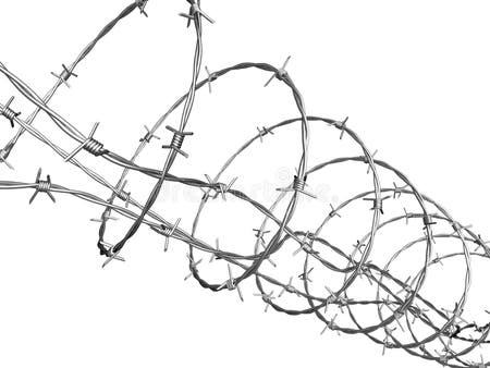 Barbed Wire Curled in Spiral Stock Illustration - Illustration of ...